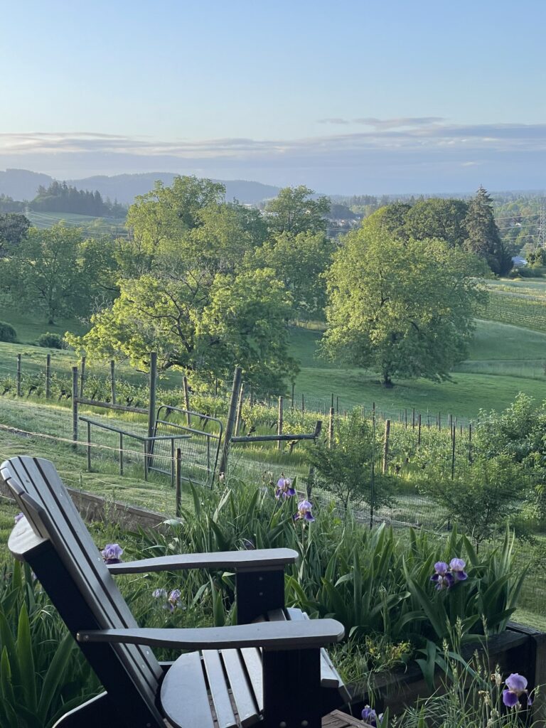 Southeast Valley View | Photo at Natalie's Estate Winery Newberg