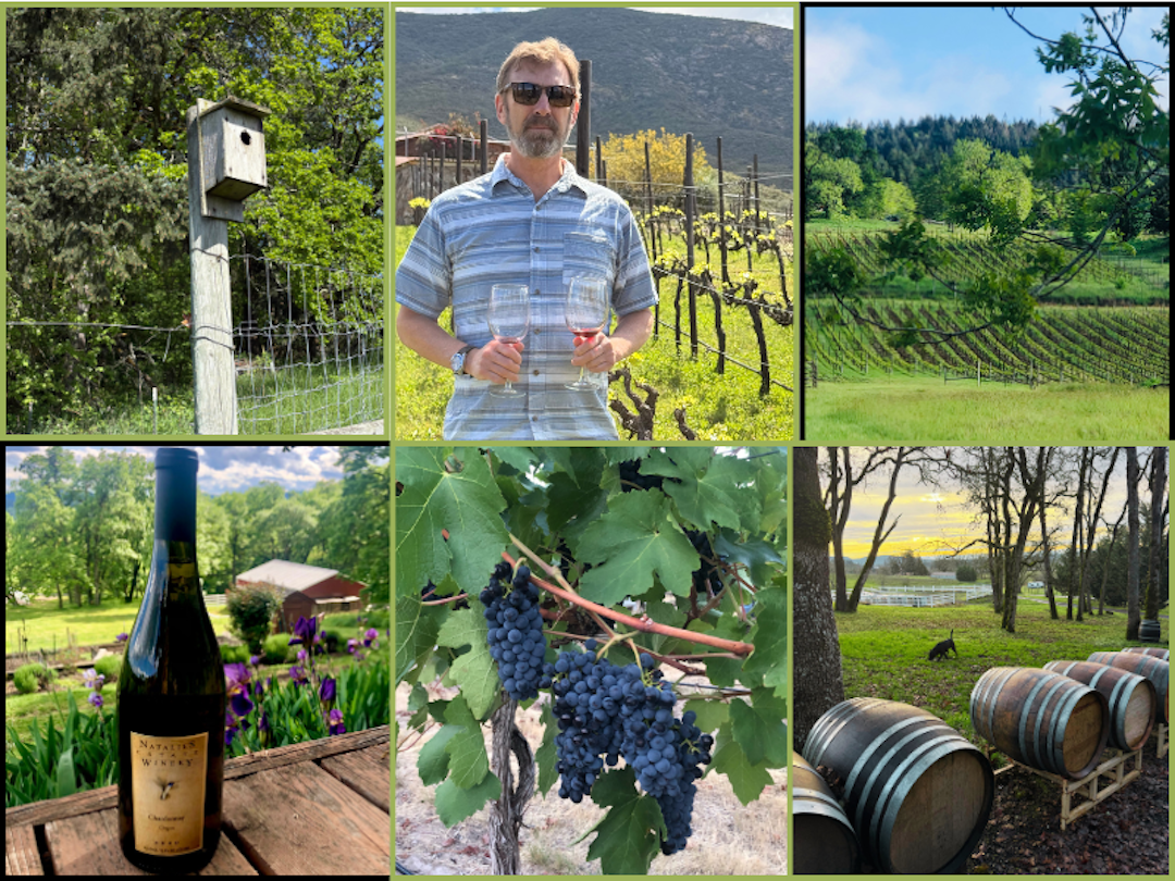 Sustainability in the Vineyard: Farming with Intention at Natalie's ...